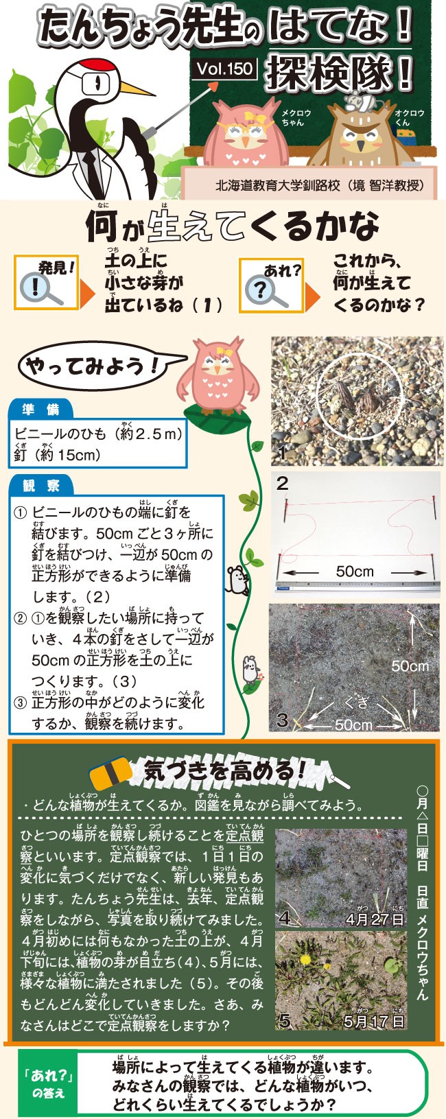 Vol.150 何が生えてくるかな – 釧路新聞電子版